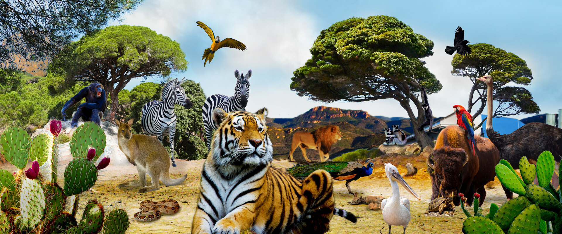 image zoo» Info ≡ Voyage - Carte - Plan